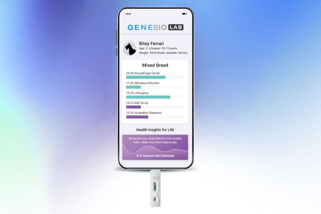 About Us – Gene Bio Medical