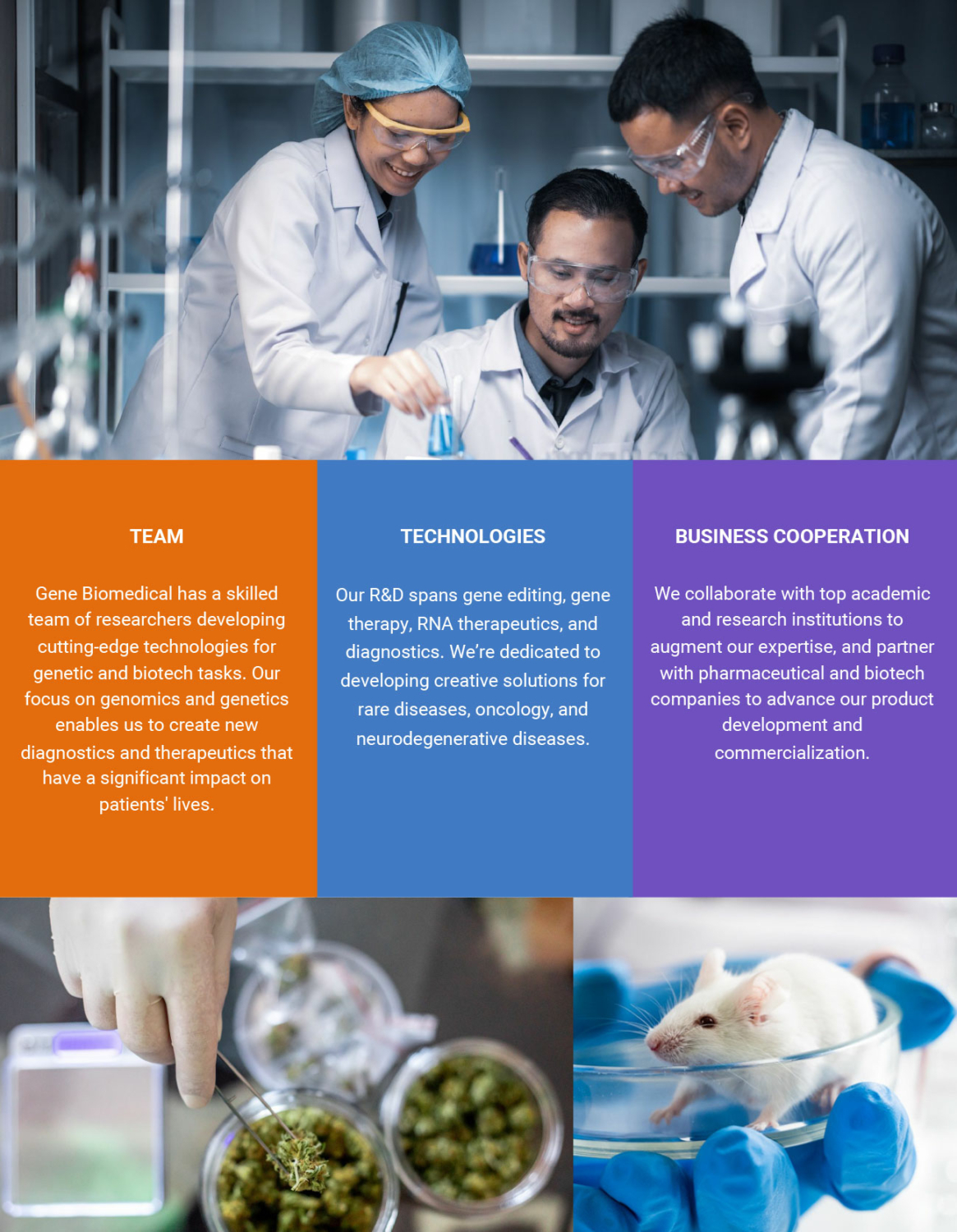Genebiomedical Brochure – Gene Bio Medical