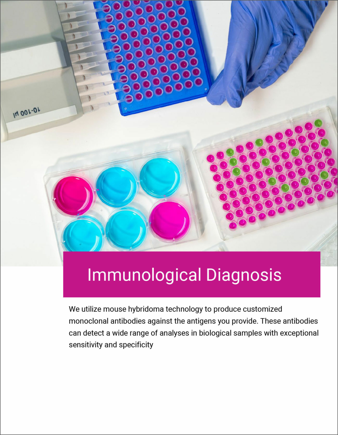 Genebiomedical Brochure – Gene Bio Medical